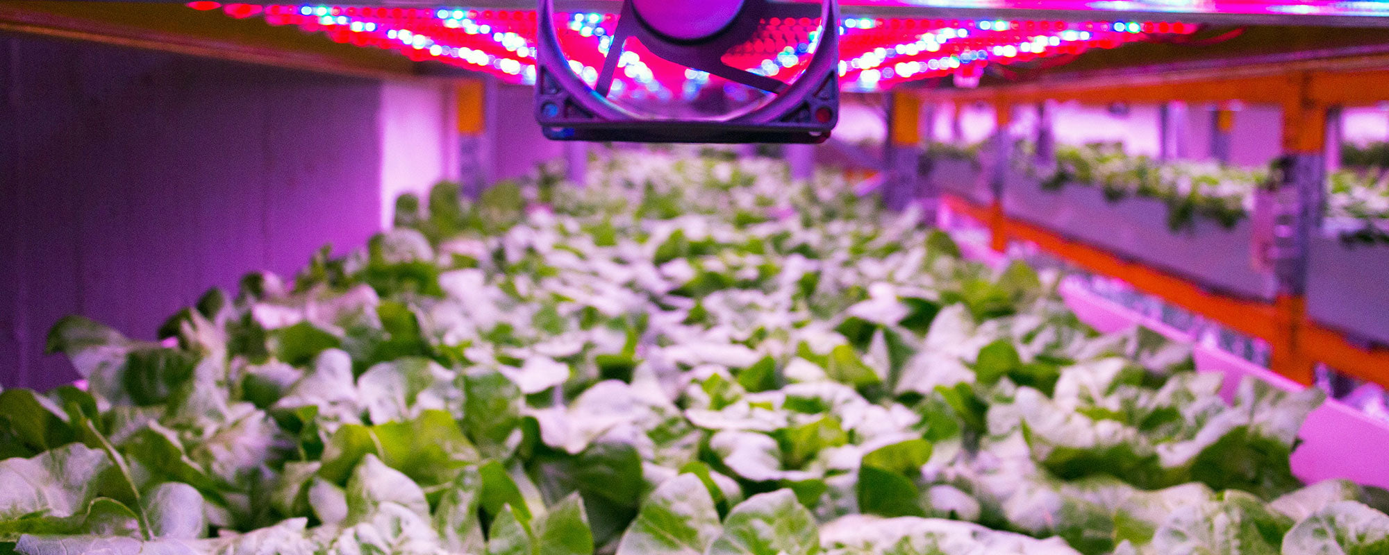 Green Acres Hydroponics